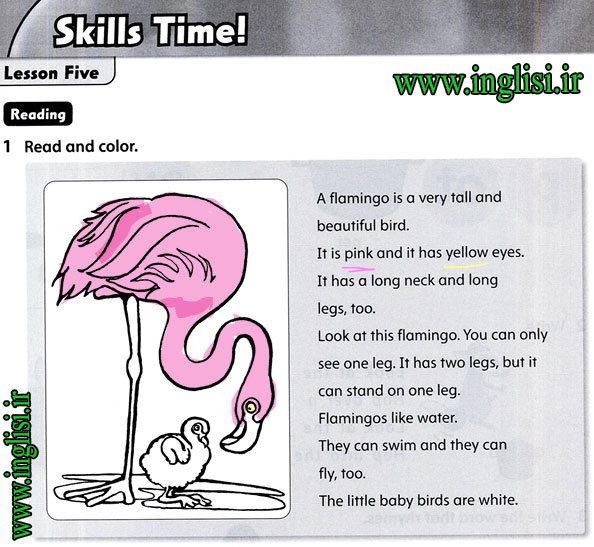 حل کتاب کار فمیلی فرندز 1 یونیت 14 – آموزش زبان انگلیسی | کاوه رایگان